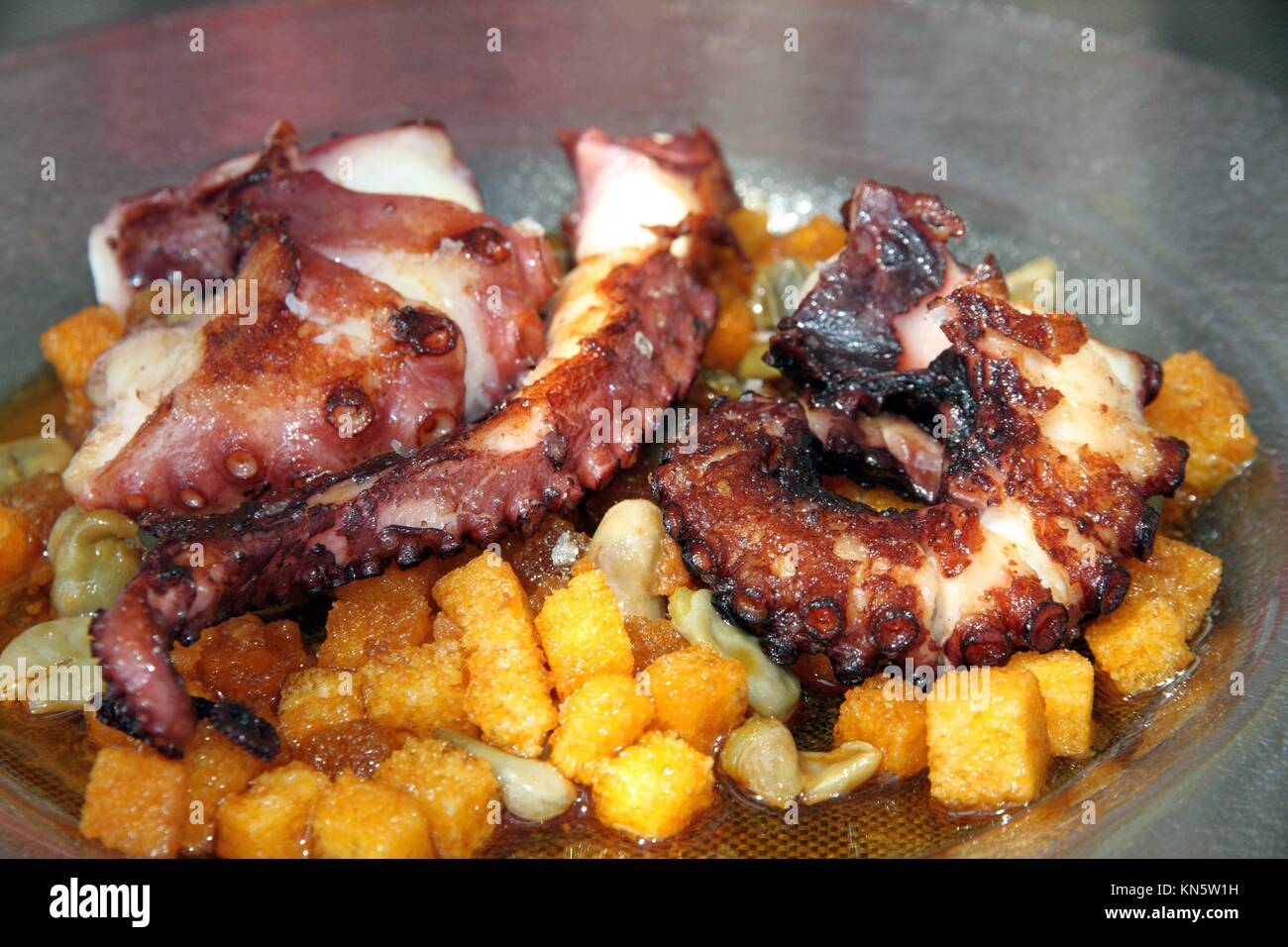 Octopus arm living hi-res stock photography and images - Alamy