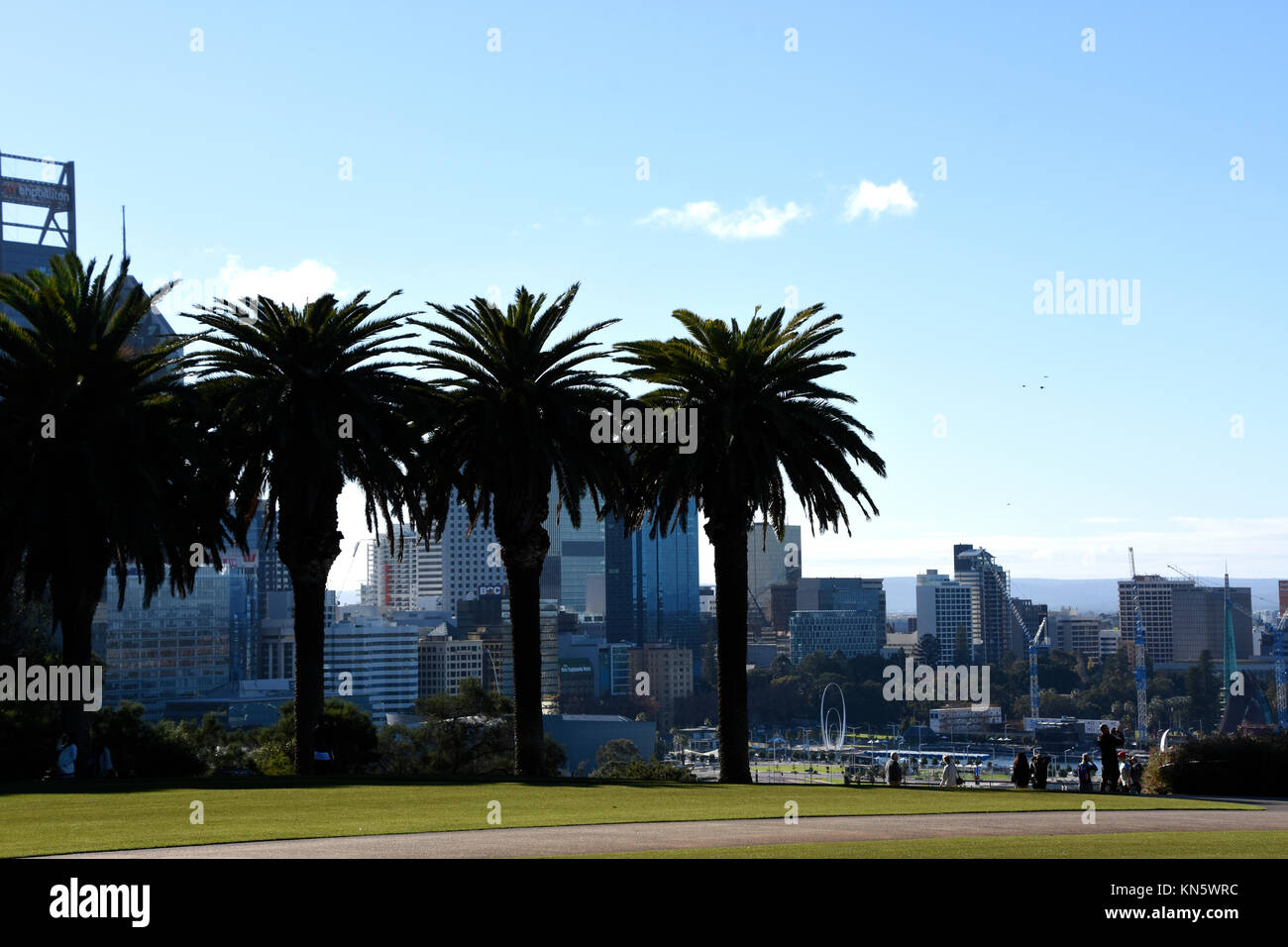 Palm trees in western australia hi-res stock photography and images - Alamy
