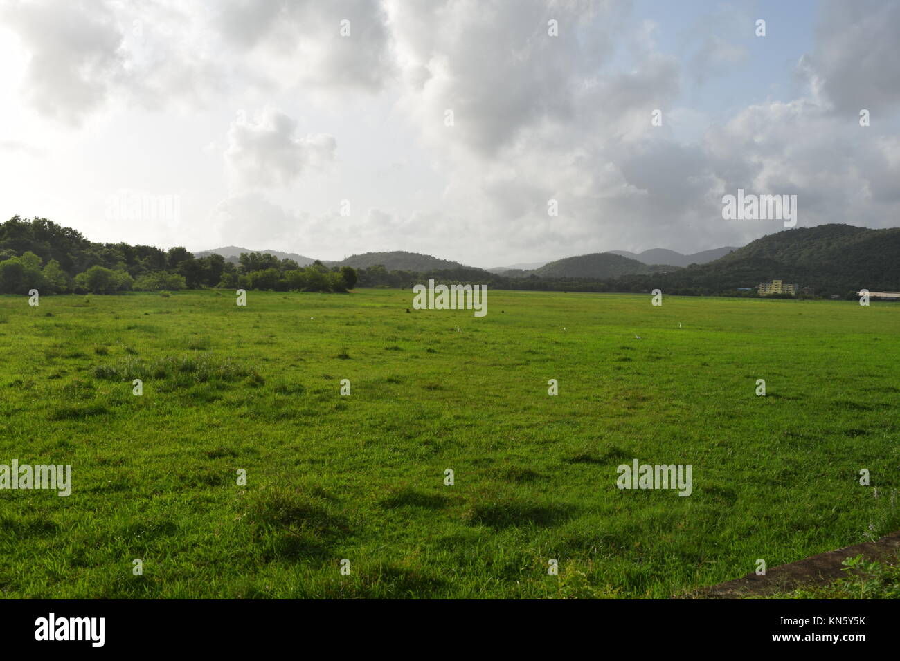 Green farms for farm house or farms for sale photos. Beautiful farms ...