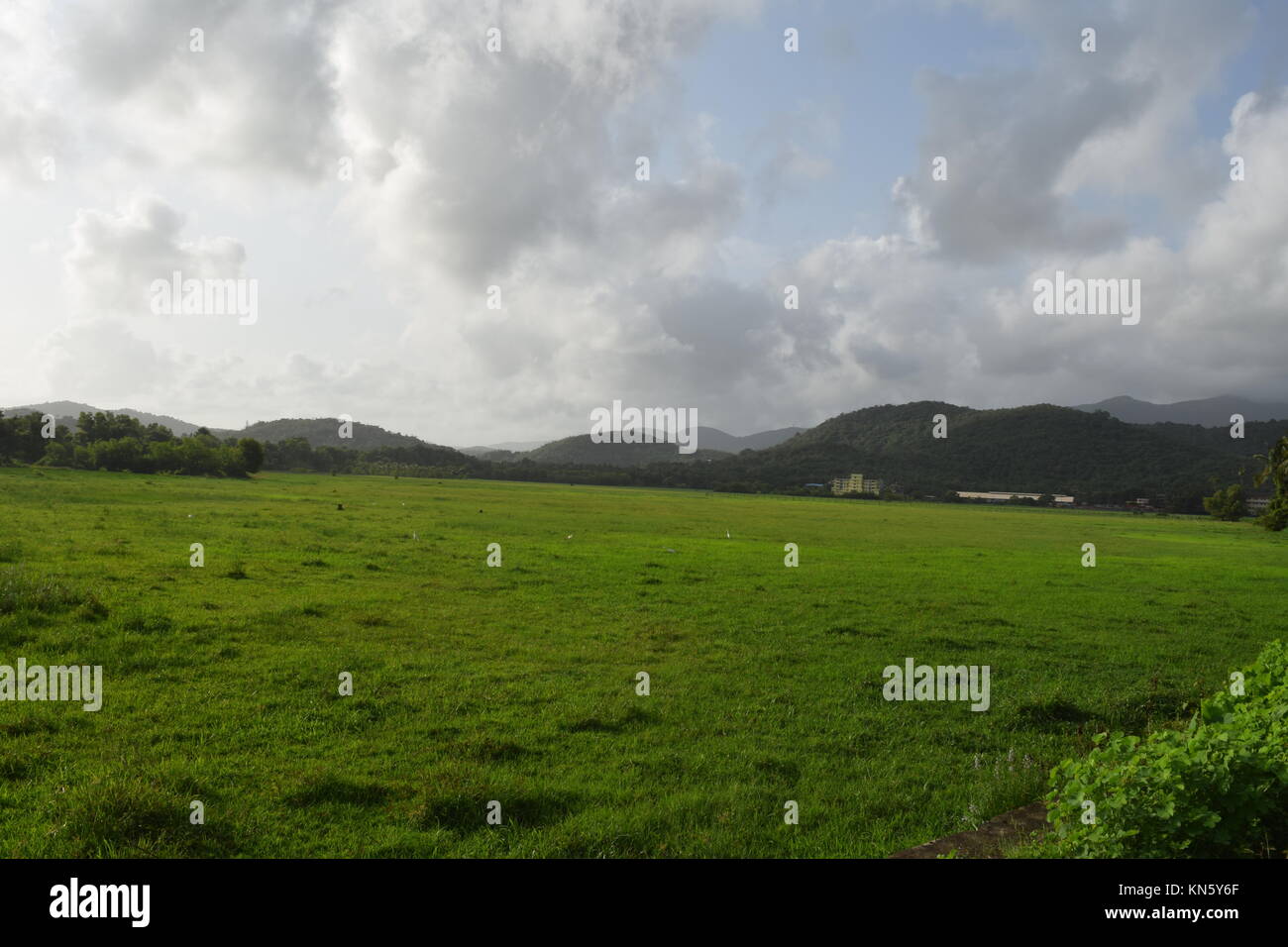 Green farms for farm house or farms for sale photos. Beautiful farms ...