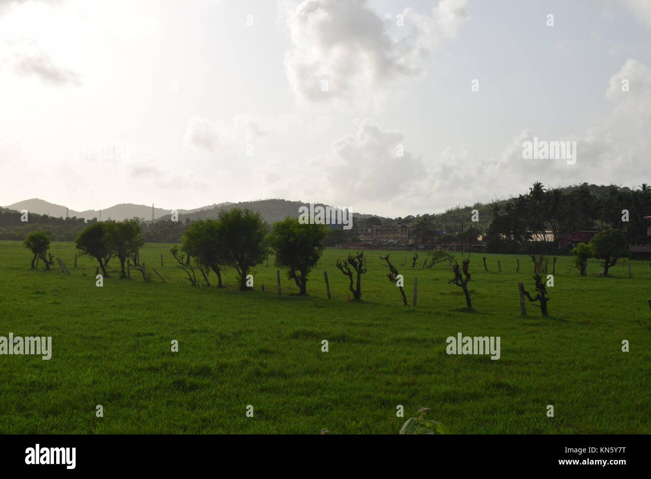 Green farms for farm house or farms for sale photos. Beautiful farms ...