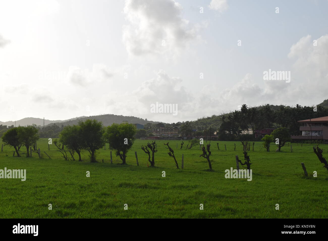 Green farms for farm house or farms for sale photos. Beautiful farms ...