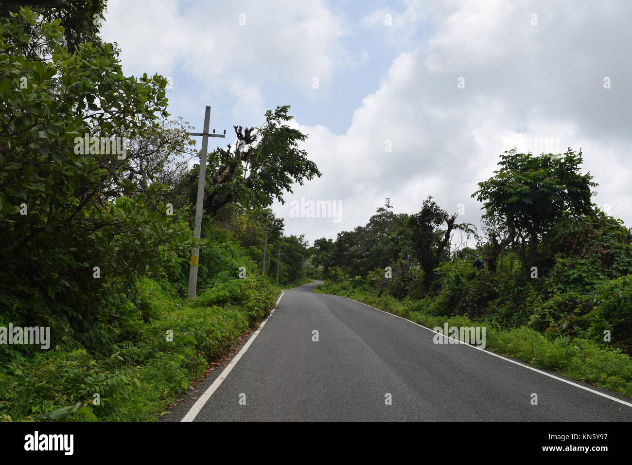Asphalt roads with greenery in side. Amazing, beautiful road view ...
