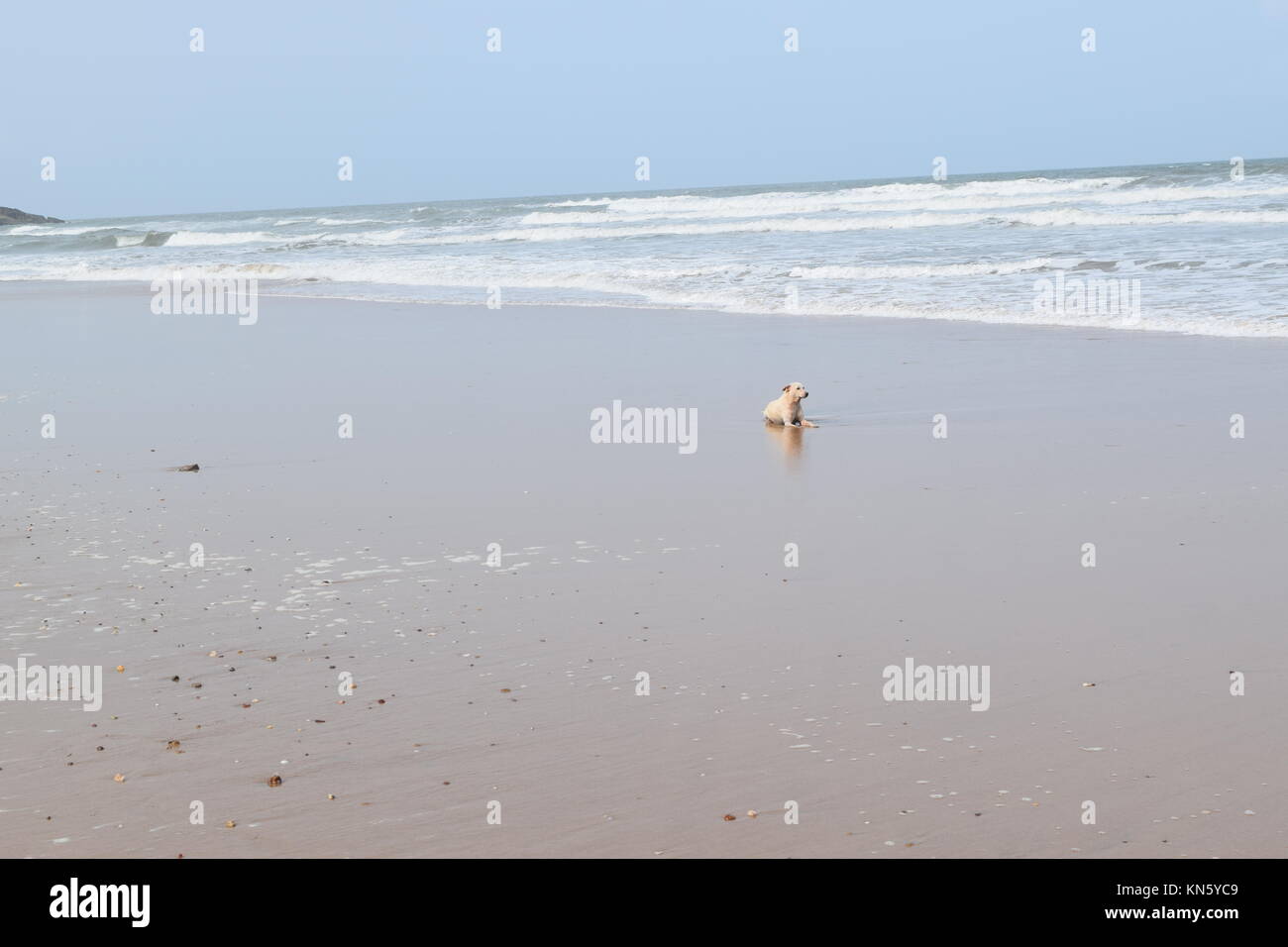 Sandy beach images. Cool beach with no people. Beautiful beach ...