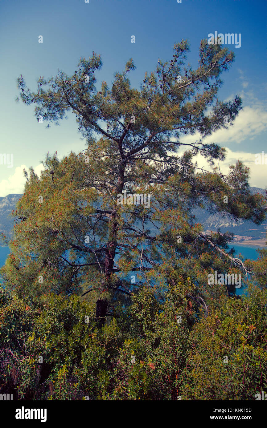 Mediterranean cliffs view from shore of sea. breathtaking landscapes of ...