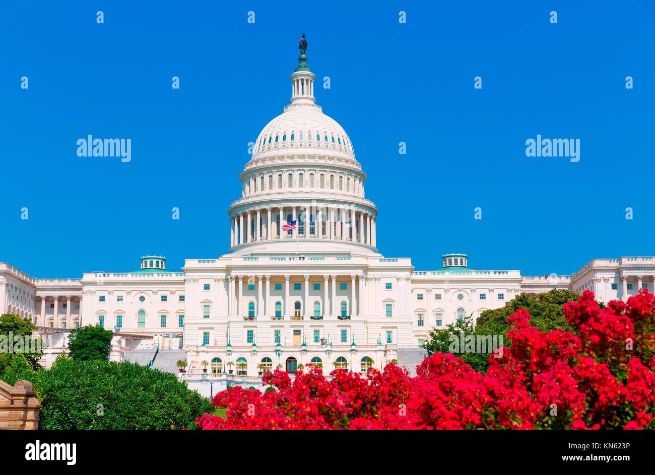 United states capitol with spring flowers washington dc hi-res stock ...