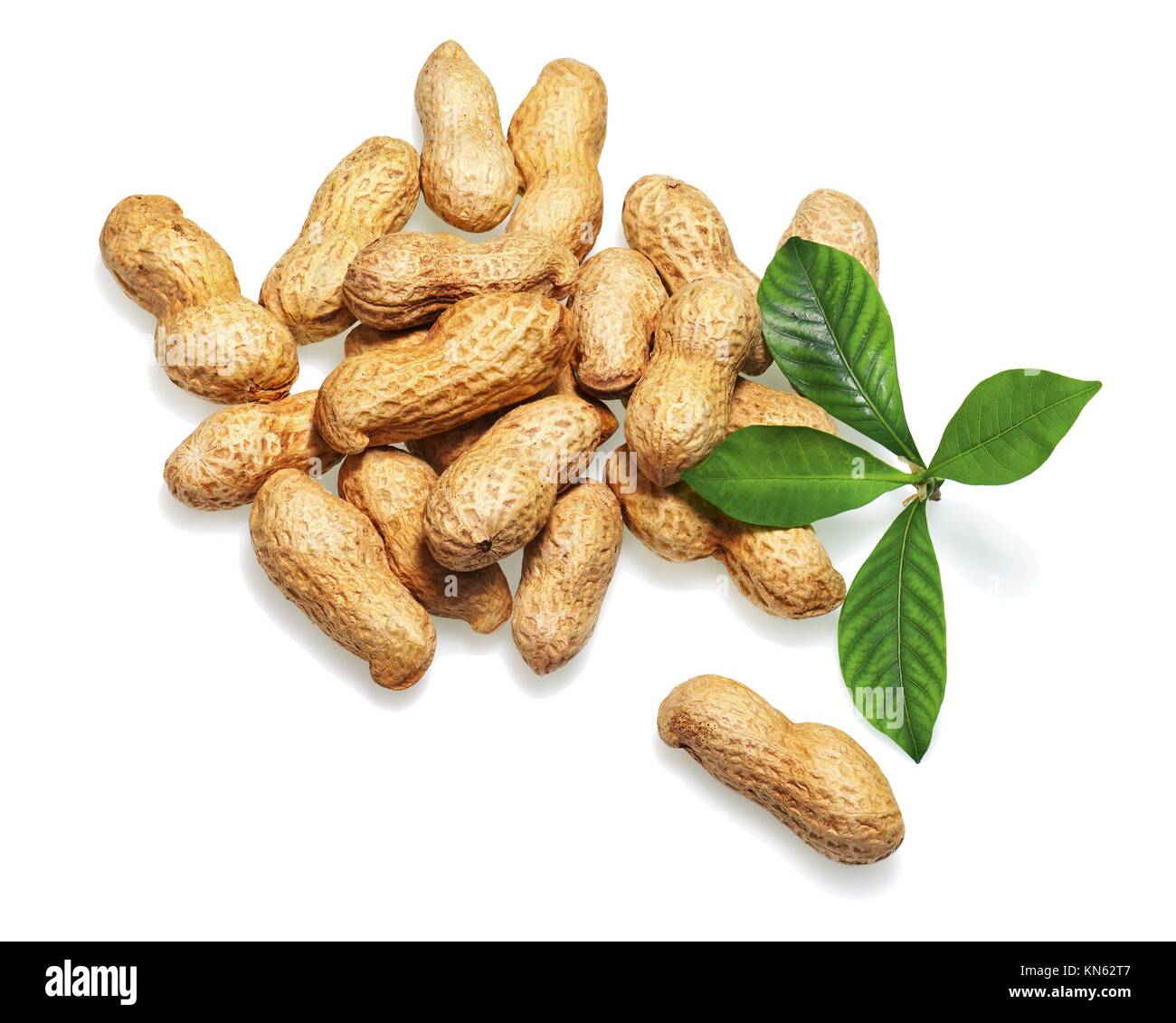 Peanuts inside Cut Out Stock Images & Pictures - Alamy