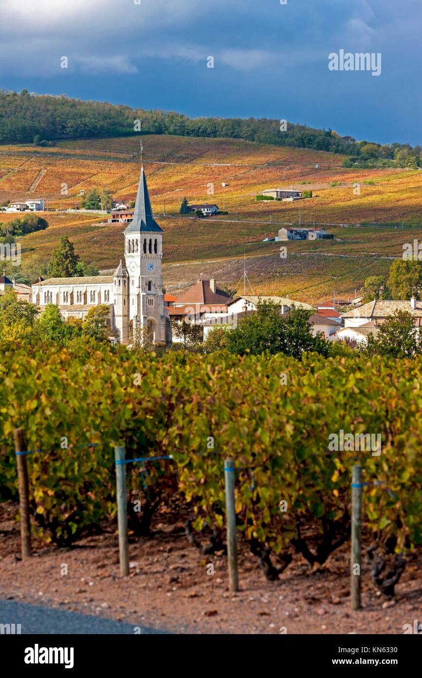 Vineyard rhone valley hi-res stock photography and images - Alamy