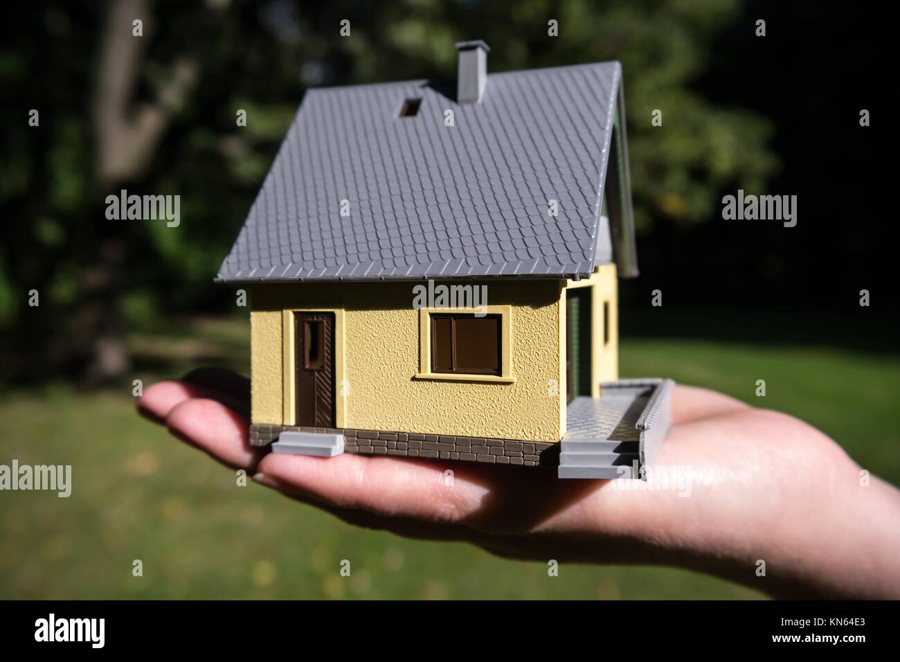 Hand structure hi-res stock photography and images - Alamy