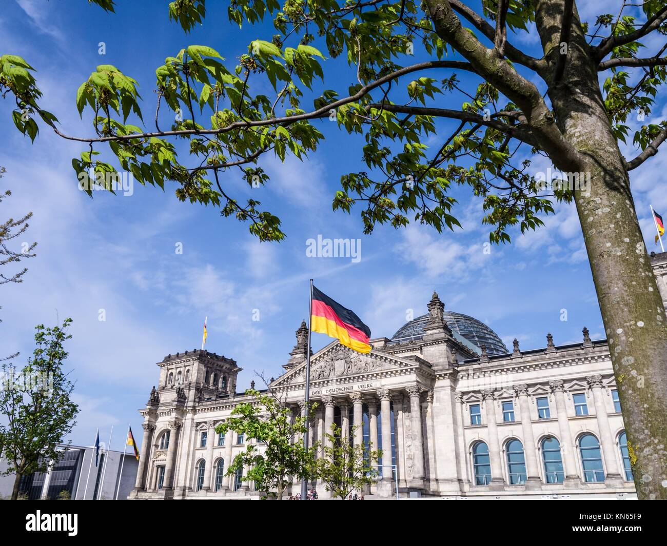 german parliament in spring with a tree and leaves Stock Photo - Alamy