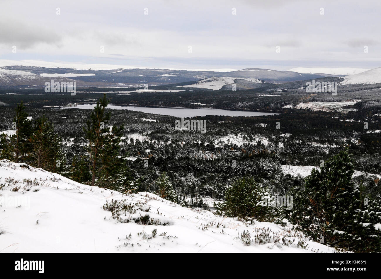 A snow scene of Loch Morlich in the Cairngorm National park, Aviemore ...