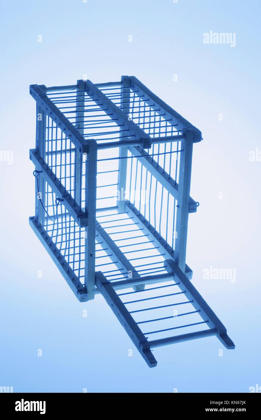 Cage Inside Interior High Resolution Stock Photography and Images - Alamy