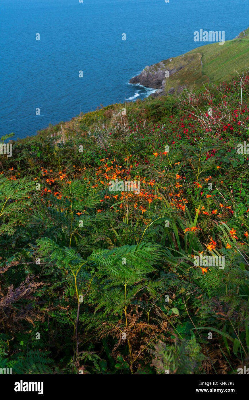 Kells Seaside Area, Ring of Kerry, Iveragh Peninsula, County Kerry ...