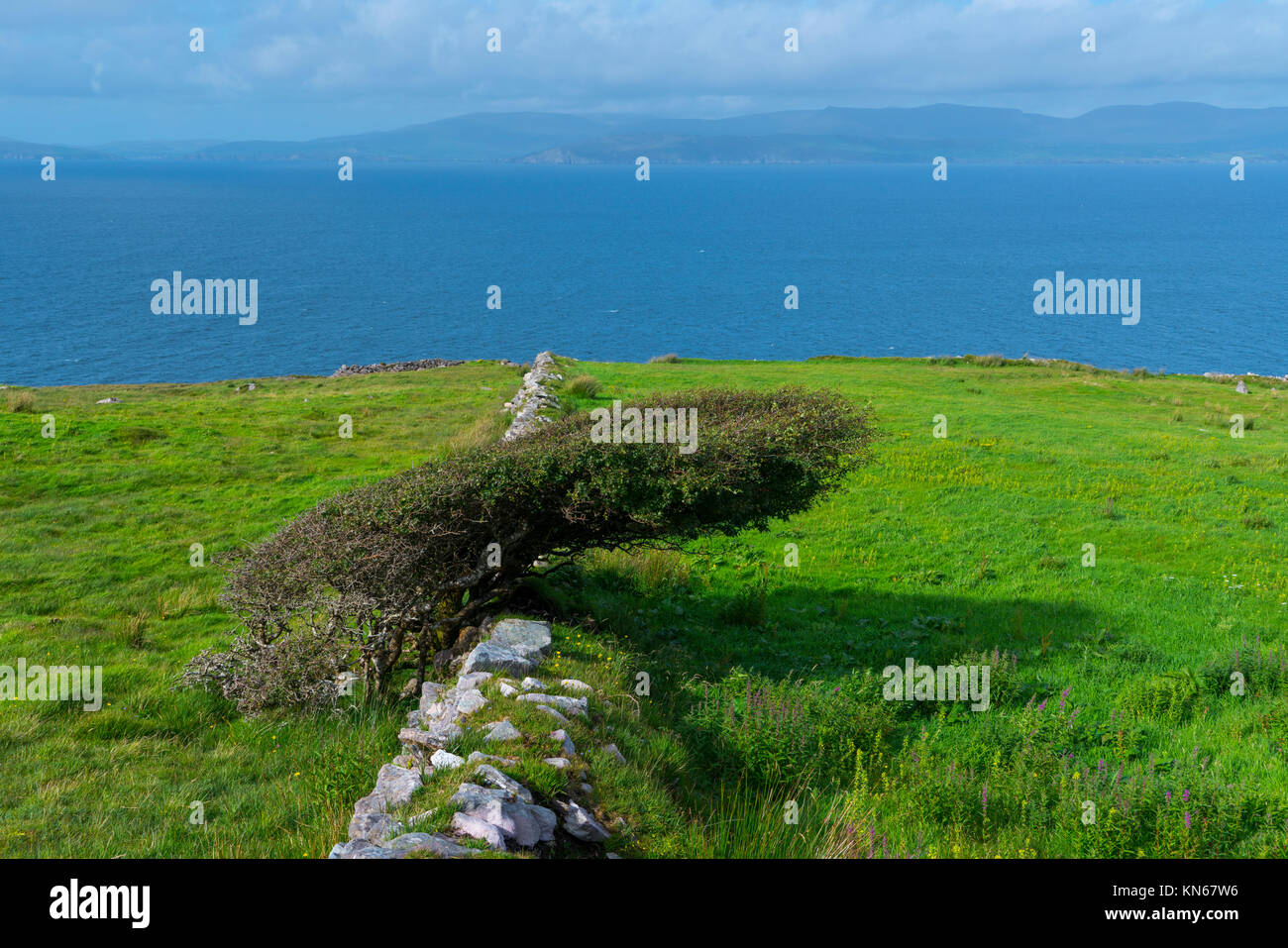 Kells Seaside Area, Ring of Kerry, Iveragh Peninsula, County Kerry ...