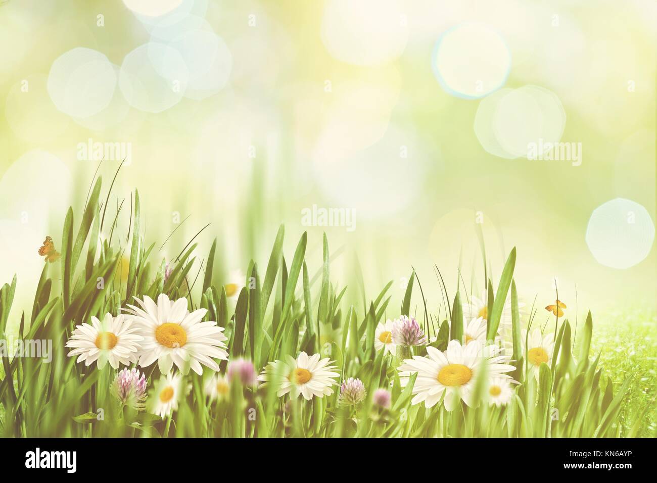 Summer afternoon with faded colors, abstract natural backgrounds Stock ...