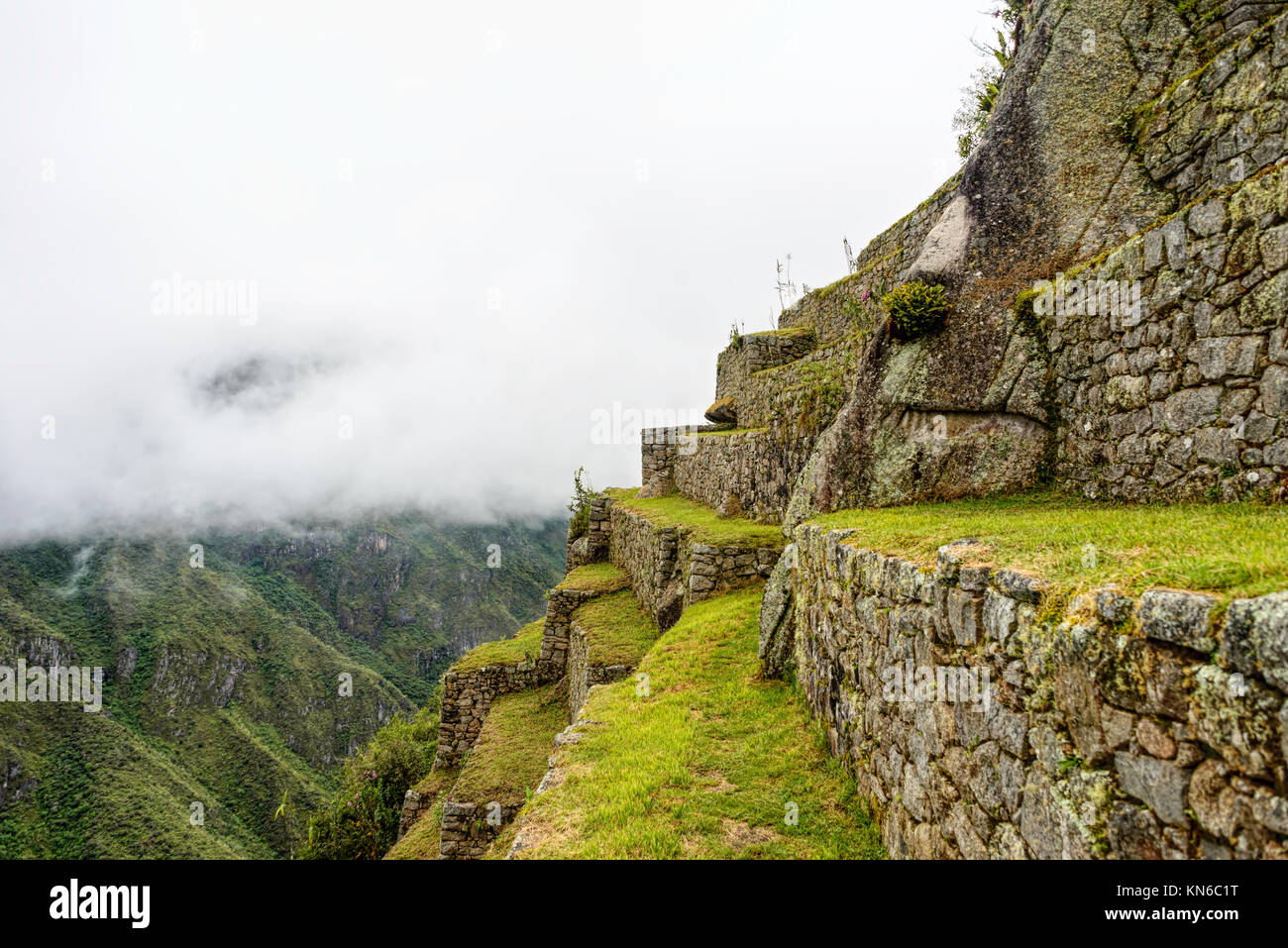 Green agricultural terraces of ancient Inca Citadel under heavy fog ...