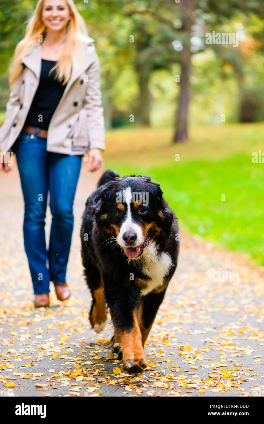 Woman and dog at retrieving stick game Stock Photo - Alamy