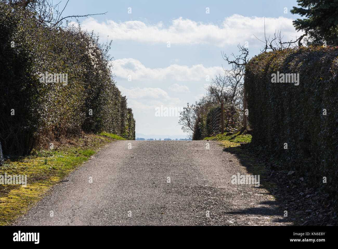 Path Leading to Sky Bushes Blue Beautiful Sunny Day Weather Perspective ...