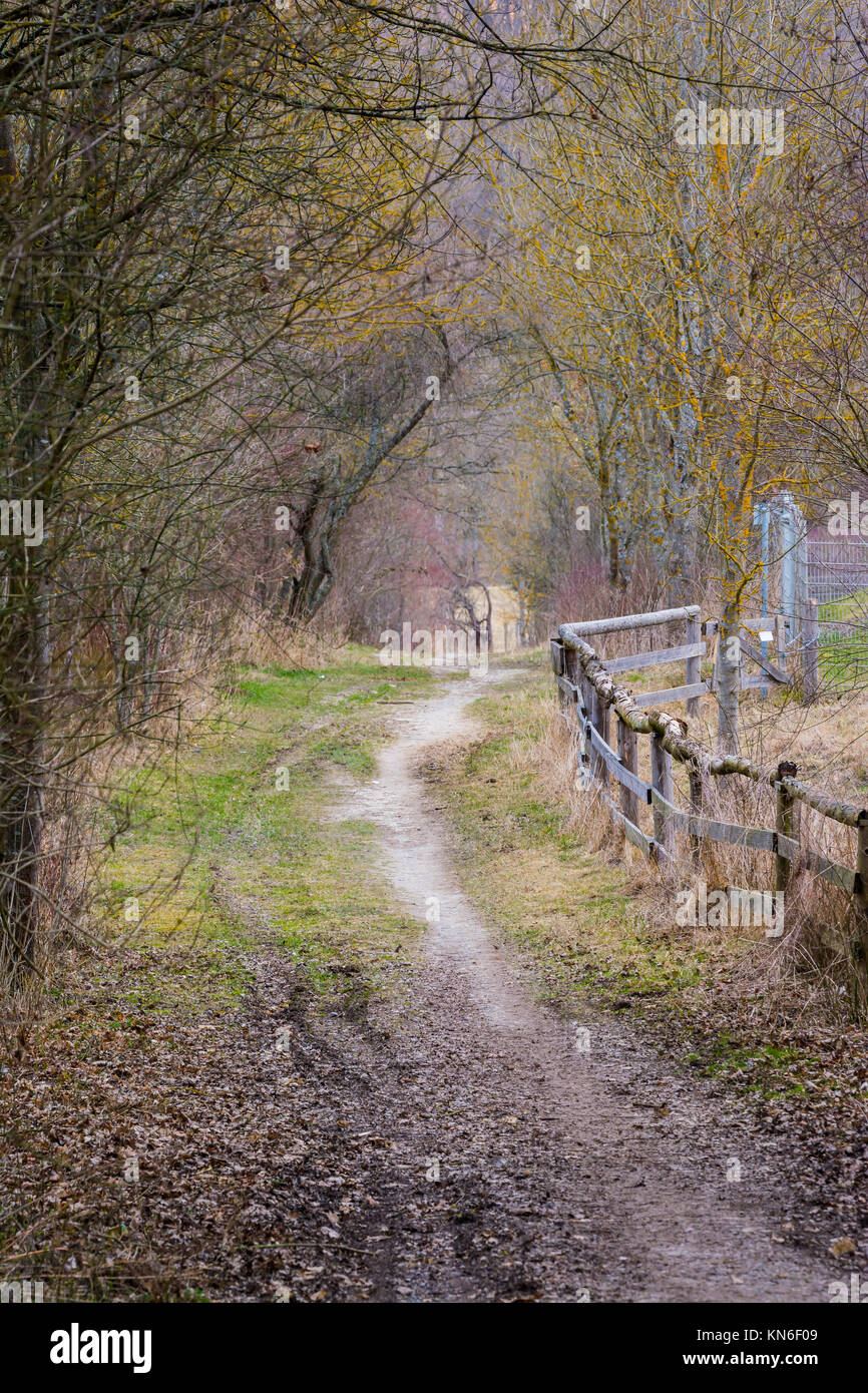 Dirt Path in Forest Woods Daytime Walk Strolling Wild Nature Landscape ...