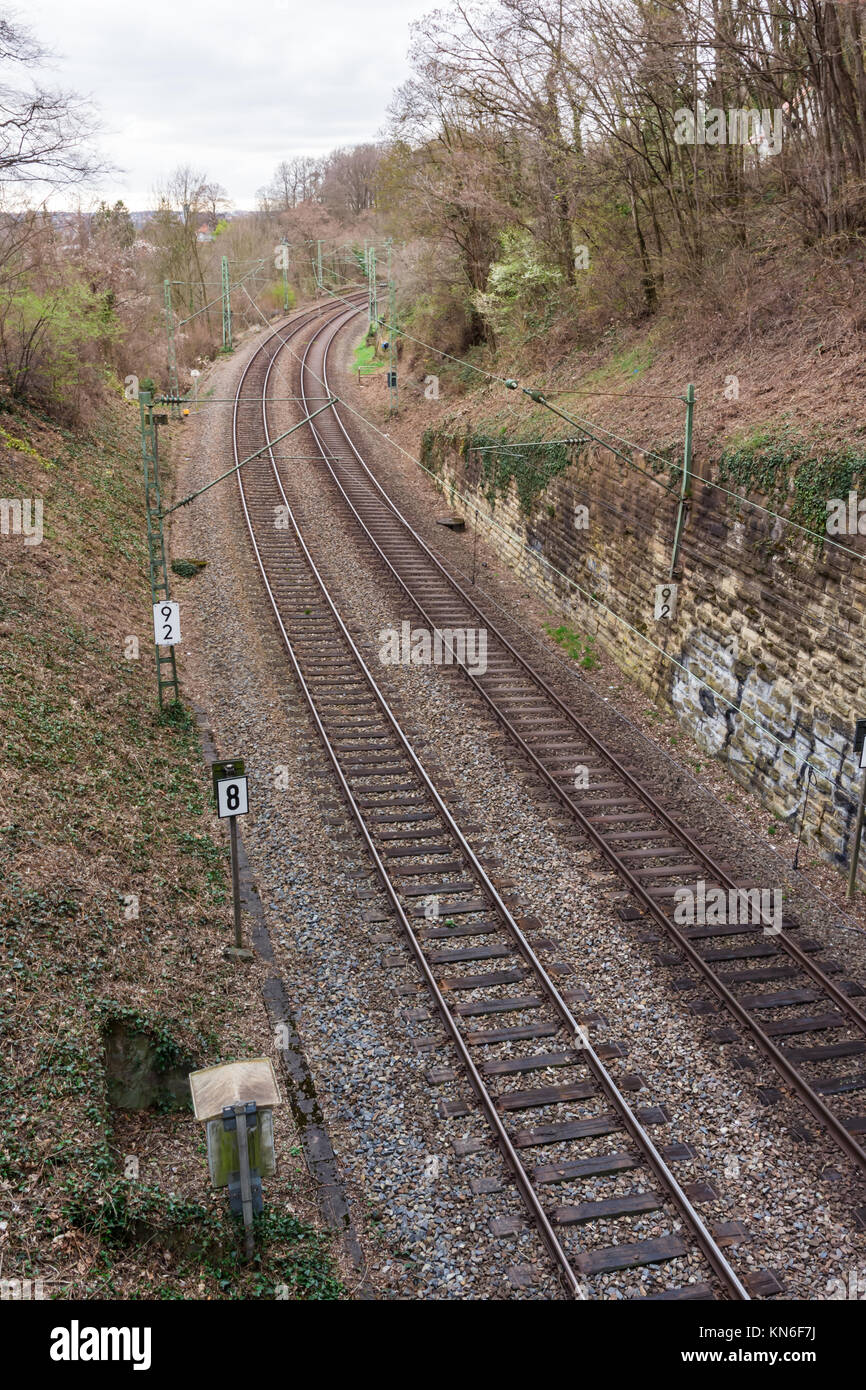 Train Tracks Through Forest from Above Horizon Sunset Curve Landscape ...