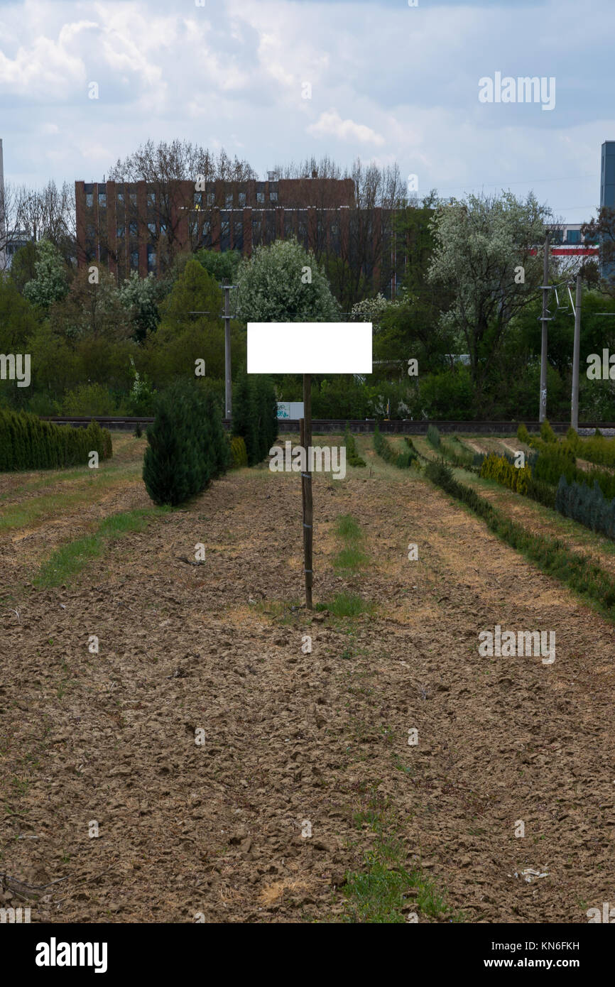 Grass Field Blank Sign Template Forest White Clipping Path Isolated ...