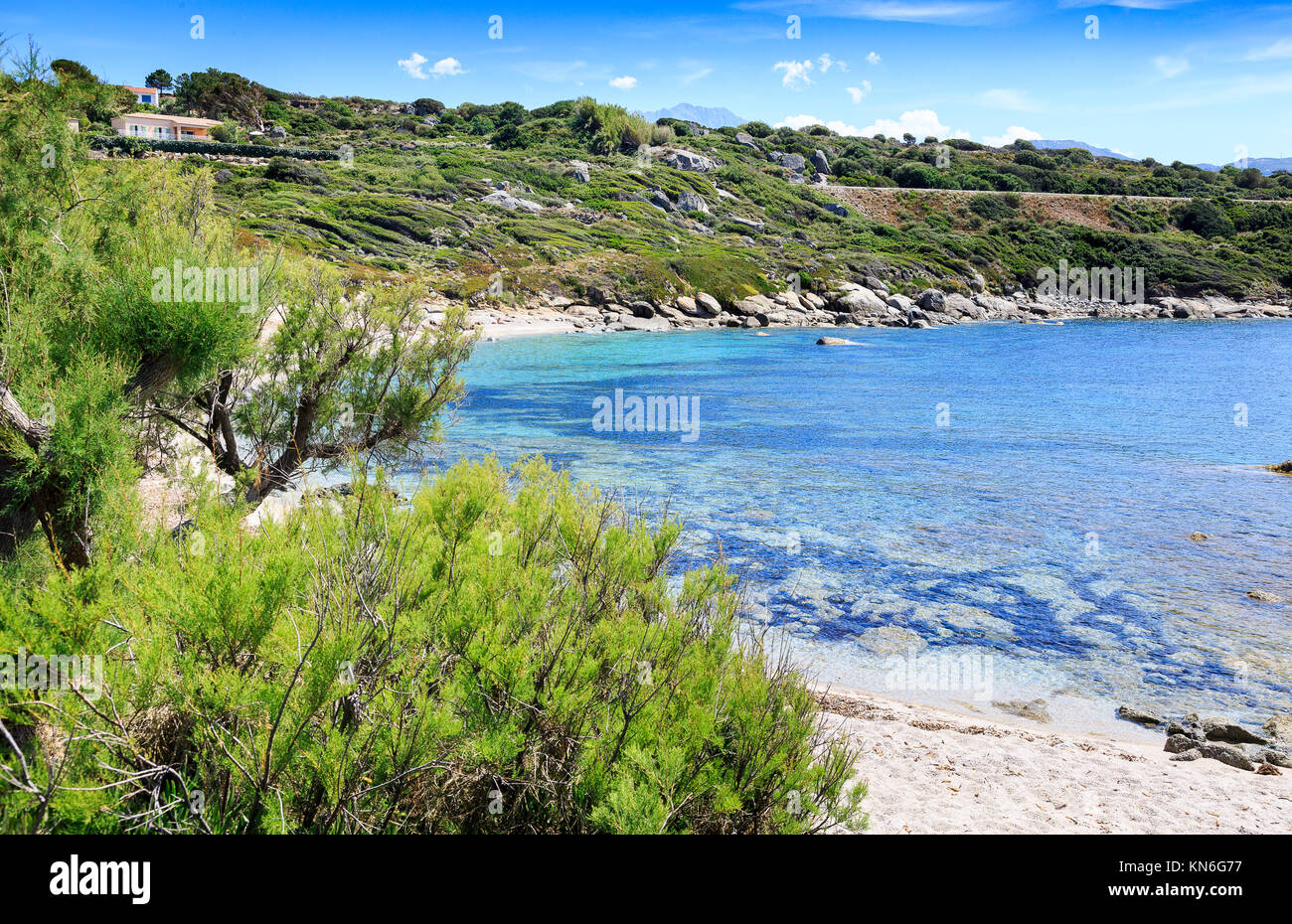 David beach hi-res stock photography and images - Alamy