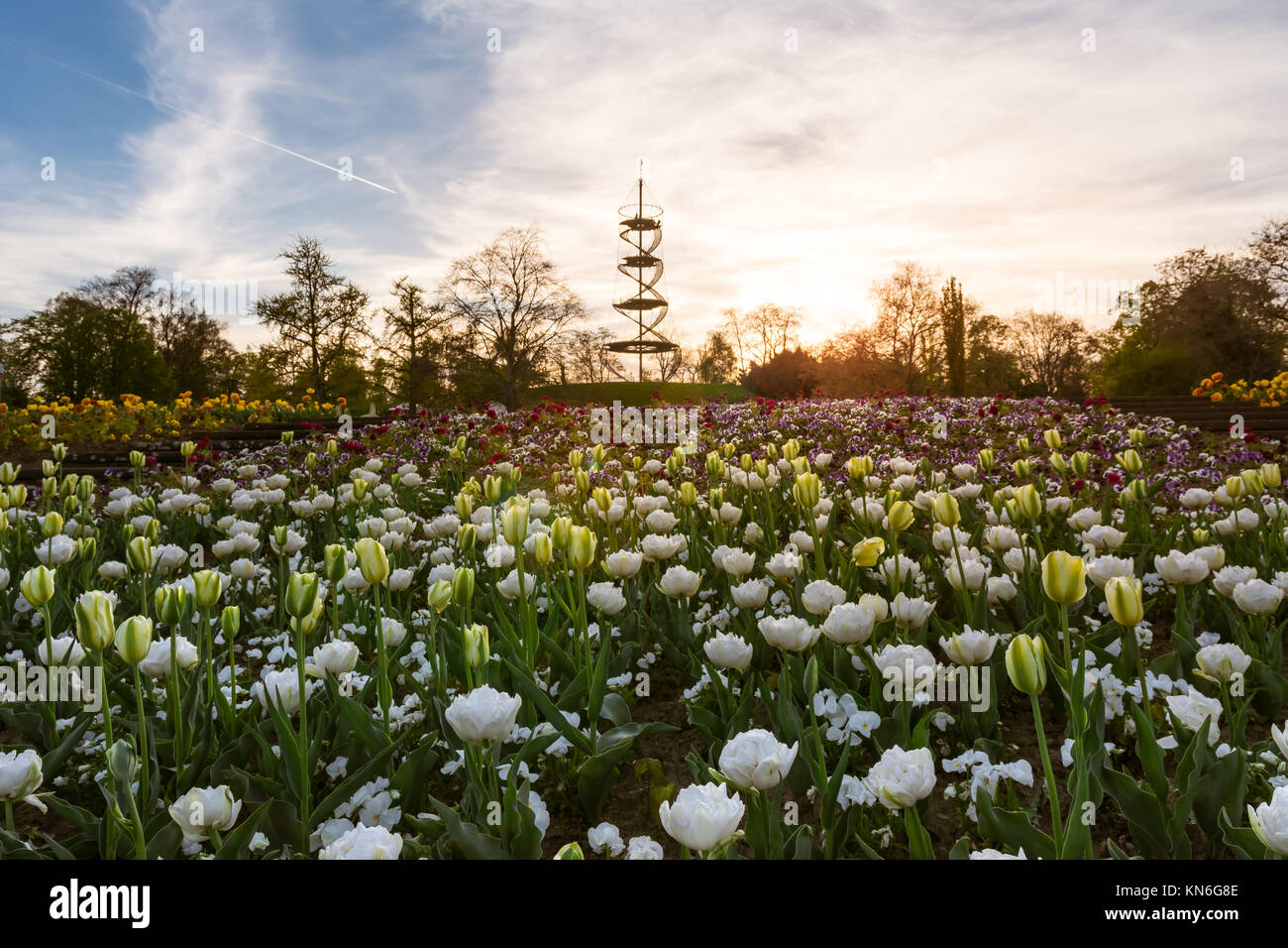 Stuttgart Killesbergturm Park Landscape Flowers Spring April Beautiful ...
