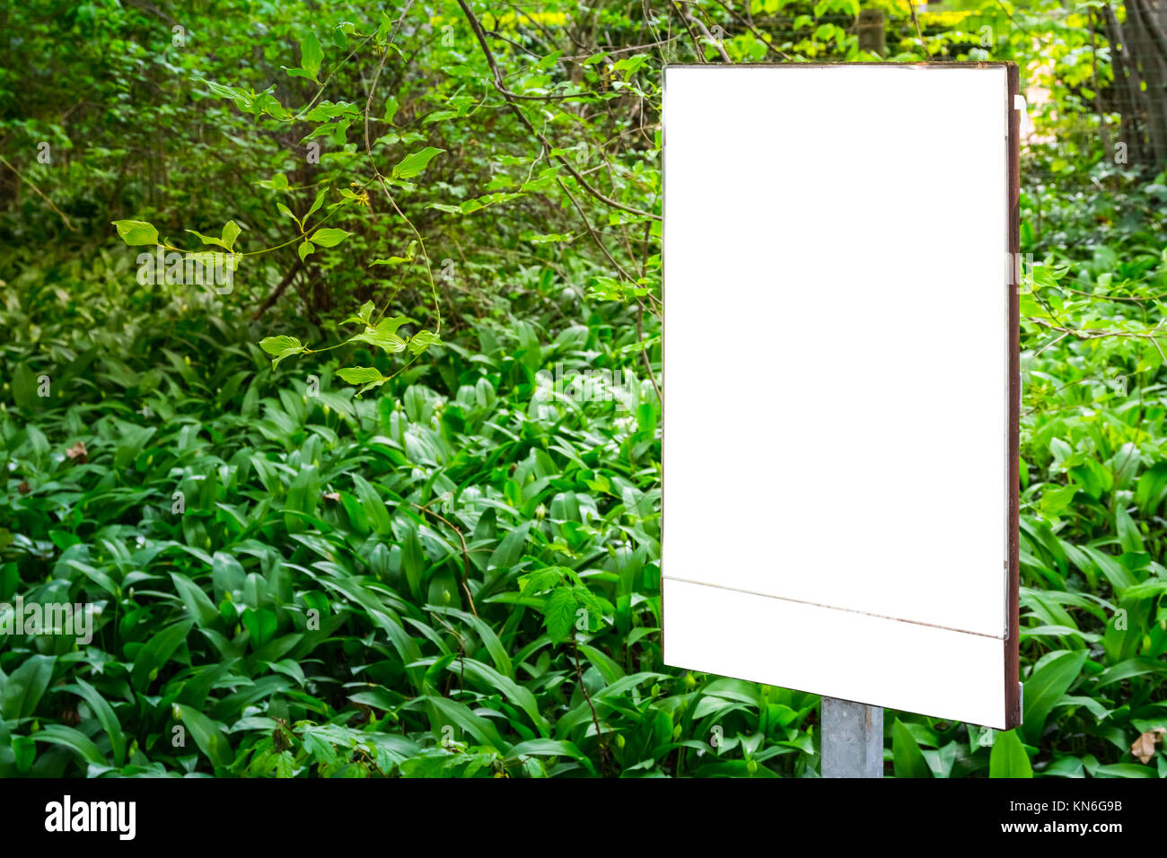 City Typical Ad Space Large White Isolated Template Banner Urban Stock ...