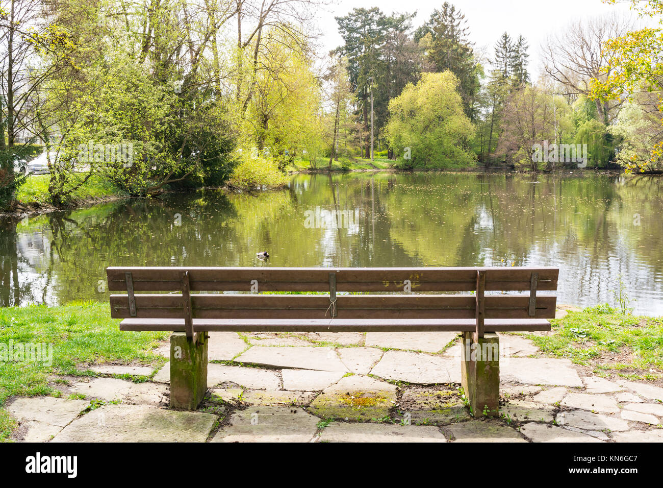 Cool Temperature Park Outdoors Overcast Weather Cold Cloudy Day Green ...