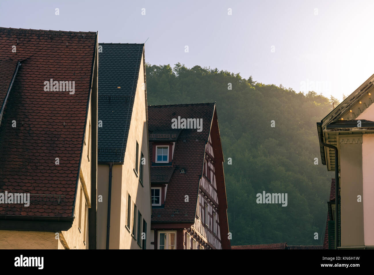 German Neighborhood Residential Homes Architecture European Traditional ...