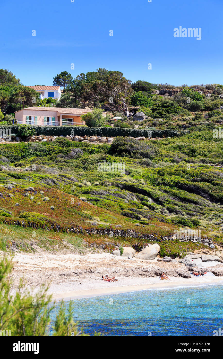 David beach hi-res stock photography and images - Alamy