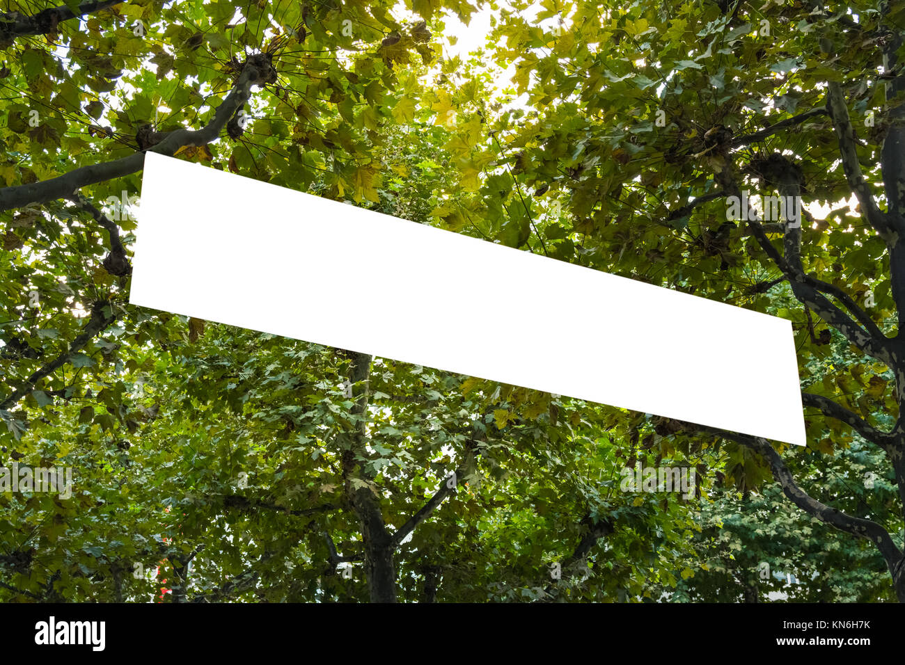 Banner Hanging in Trees Public Park Blank BIllboard Ad Space Isolated ...
