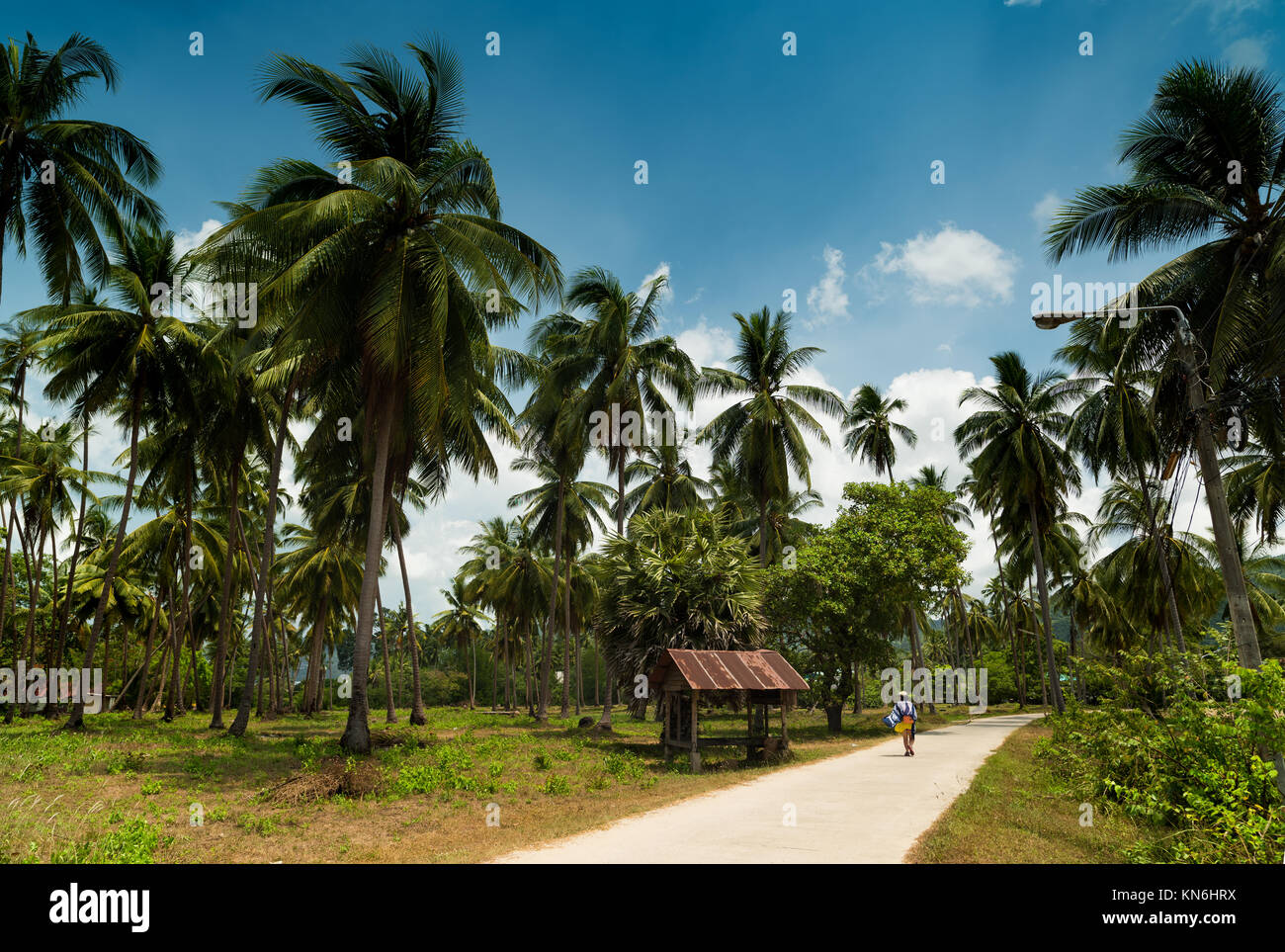 Ko Samui - Thailand Stock Photo - Alamy