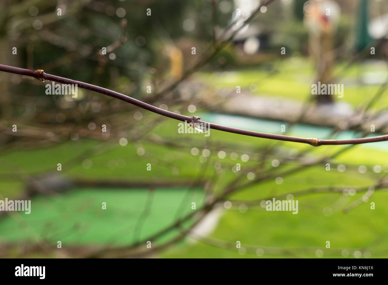 Raindrop perspective hi-res stock photography and images - Alamy