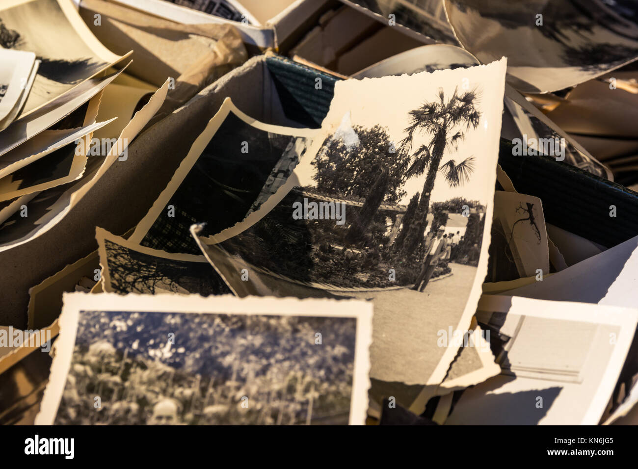 Old Box of Photos Edges Worn Collection Vintage History Family ...
