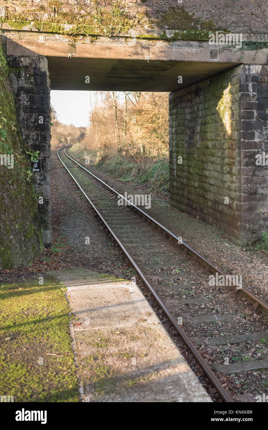 Construction through nature hi-res stock photography and images - Alamy