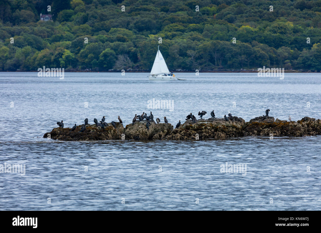 Kenmare River Cruise, Kenmare, Ring of Kerry, Iveragh Peninsula, County ...