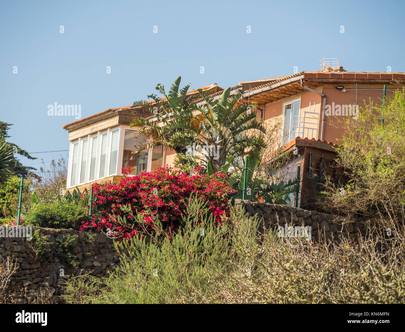 canarian Island tenerife Stock Photo - Alamy
