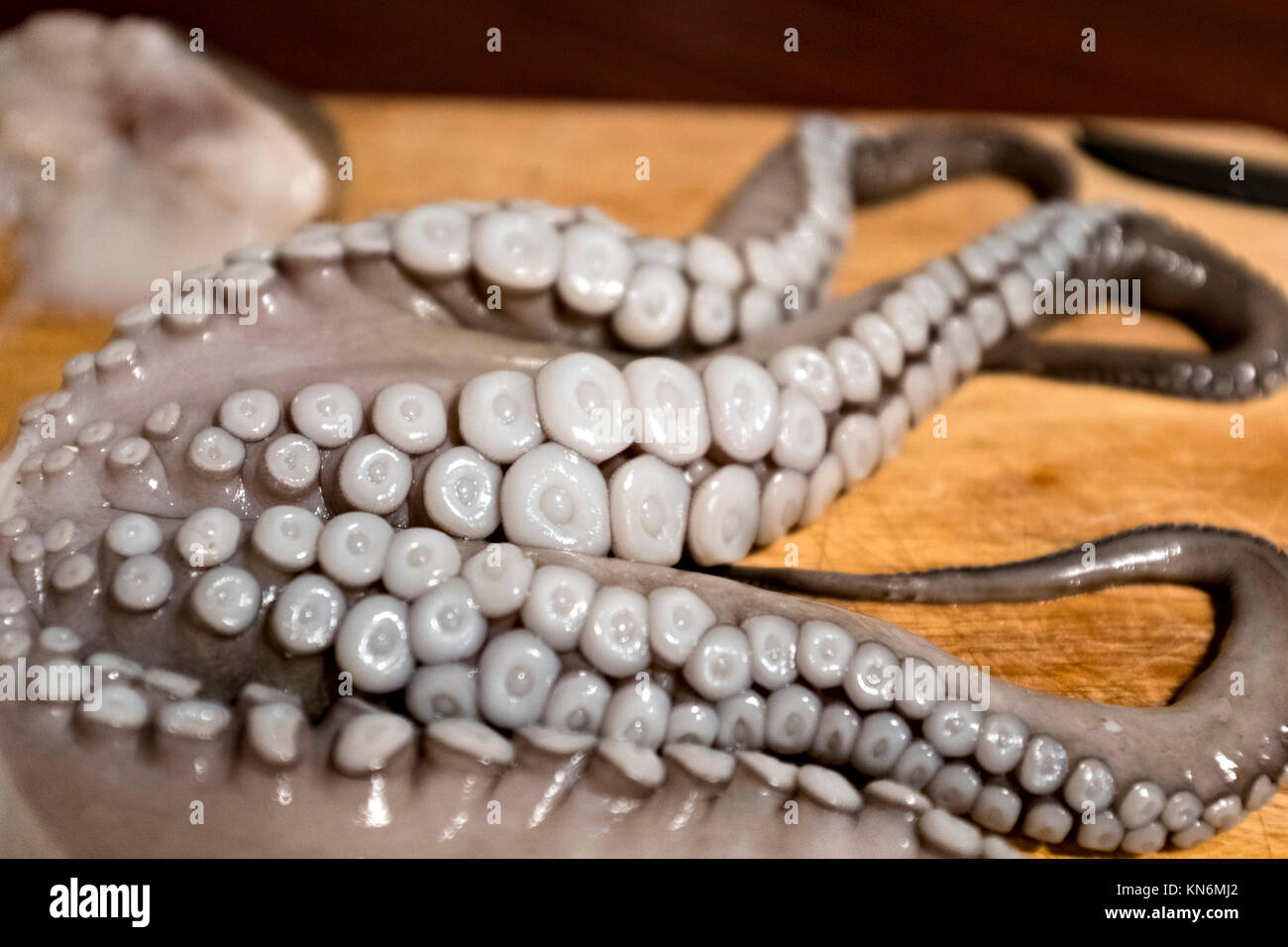 Raw octopus on a cutting board Stock Photo - Alamy