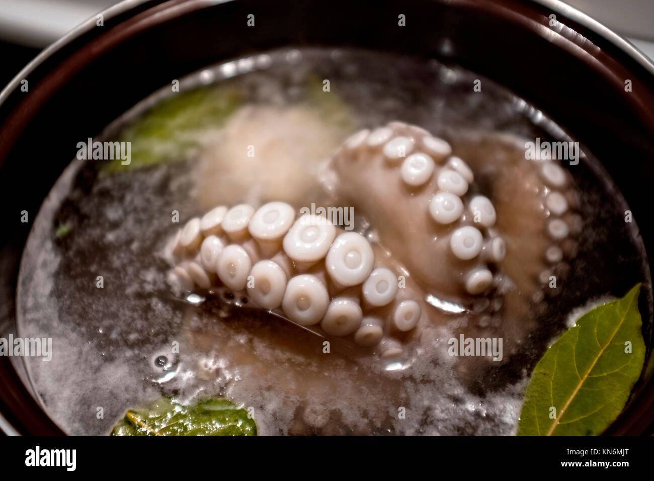 Octopus being cooked Stock Photo - Alamy