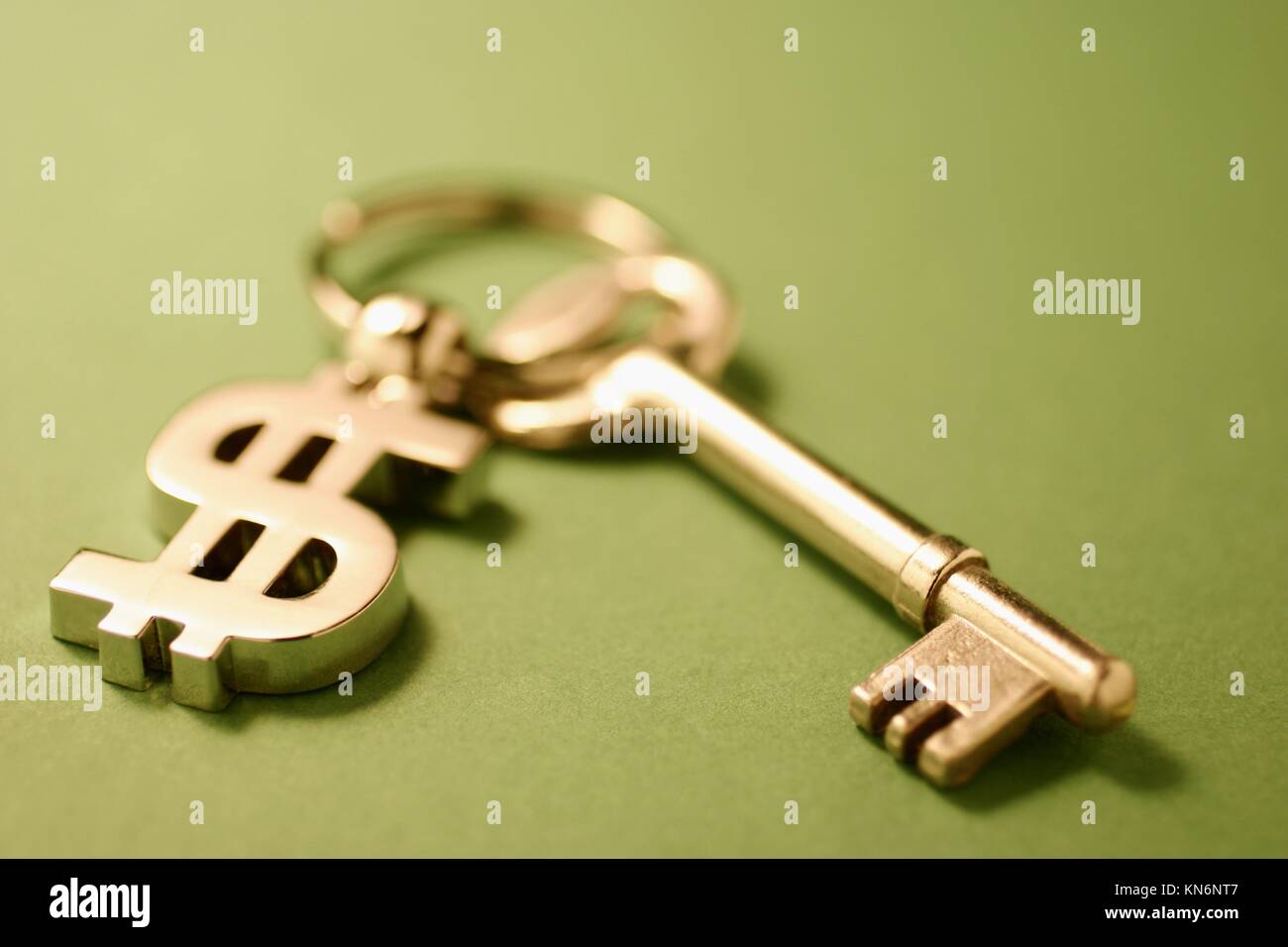 Key with $ symbol Stock Photo - Alamy
