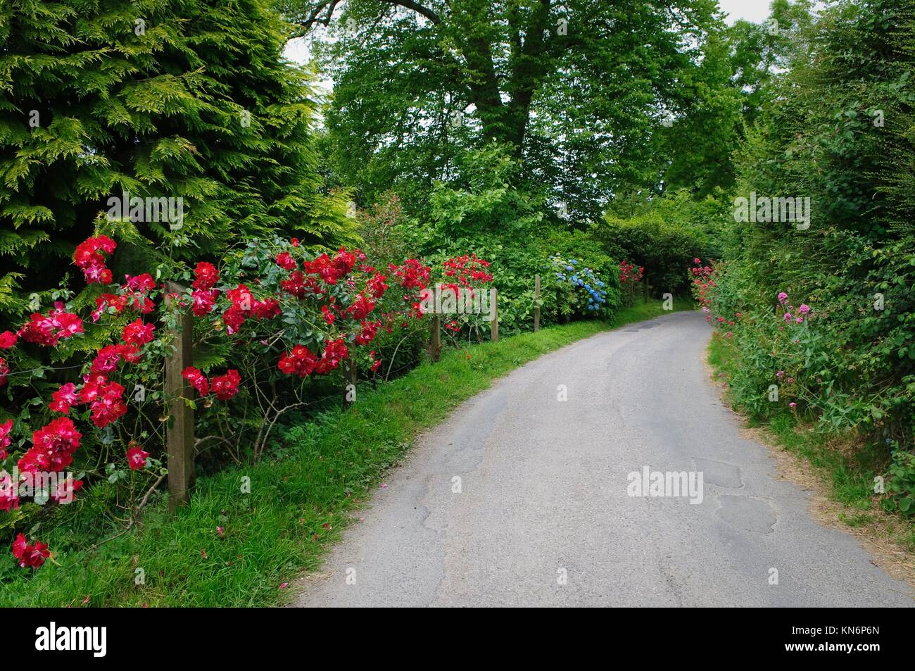 Devon rural hi-res stock photography and images - Alamy