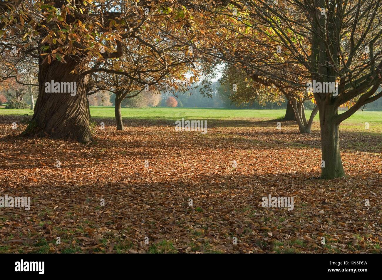 Colors in english landscape hi-res stock photography and images - Alamy