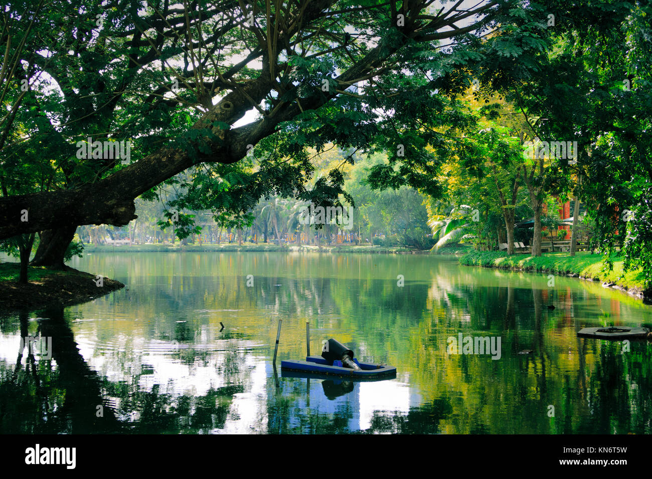 Lumpini park nature hi-res stock photography and images - Alamy