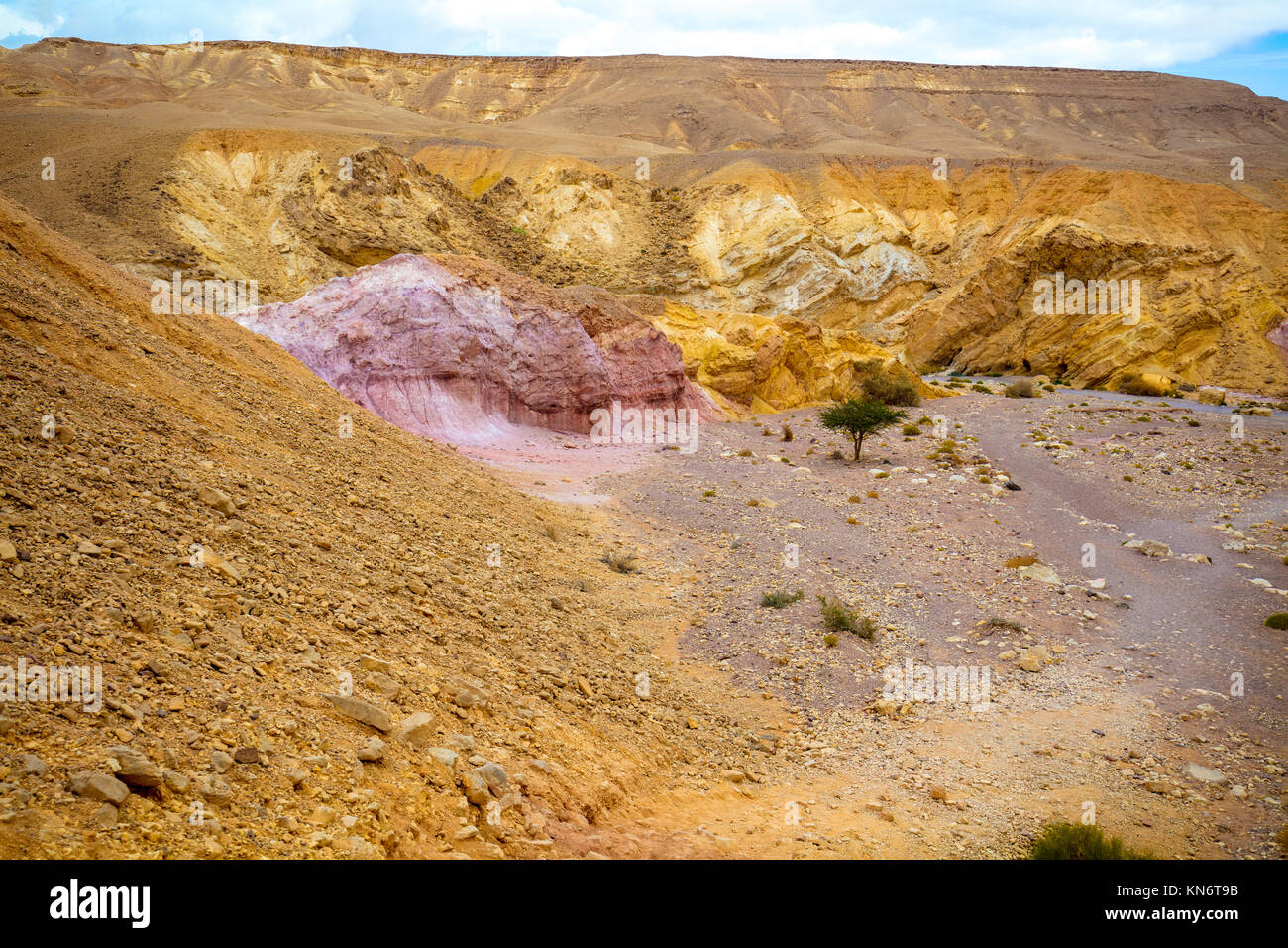 Desert with dry river watercourses Stock Photo - Alamy