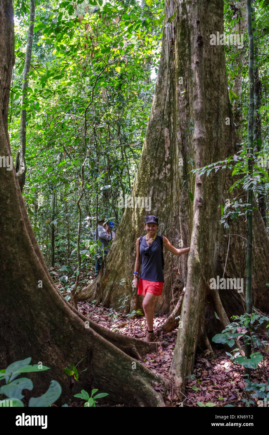 Dense forest in africa hi-res stock photography and images - Alamy