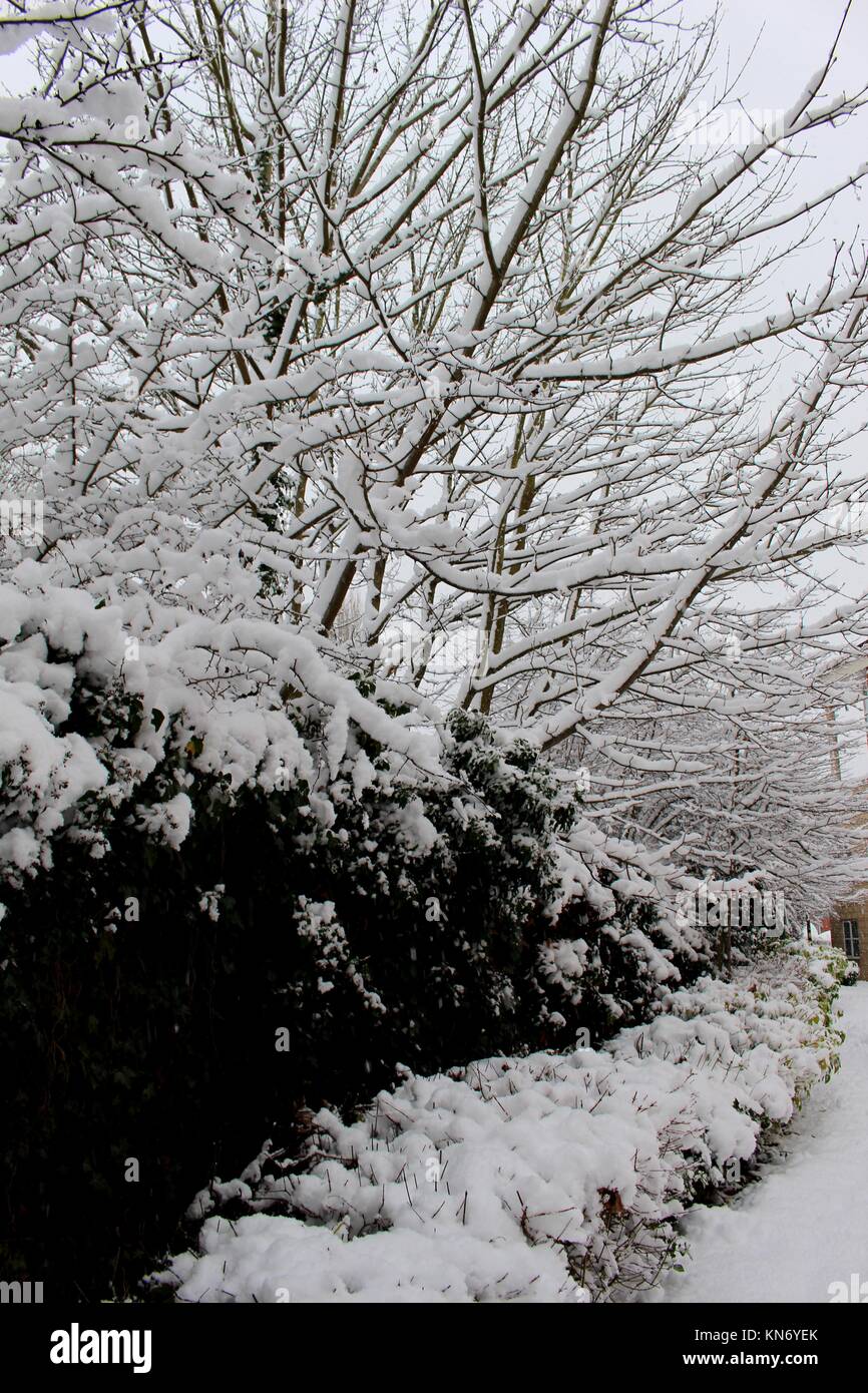 Birmingham winter storm hi-res stock photography and images - Alamy