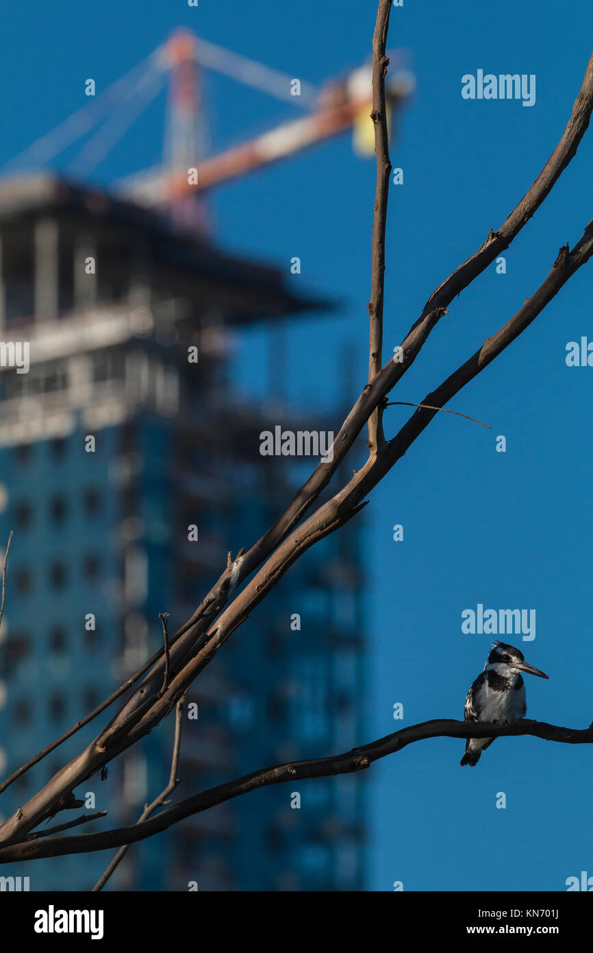 Urban and nature hi-res stock photography and images - Alamy