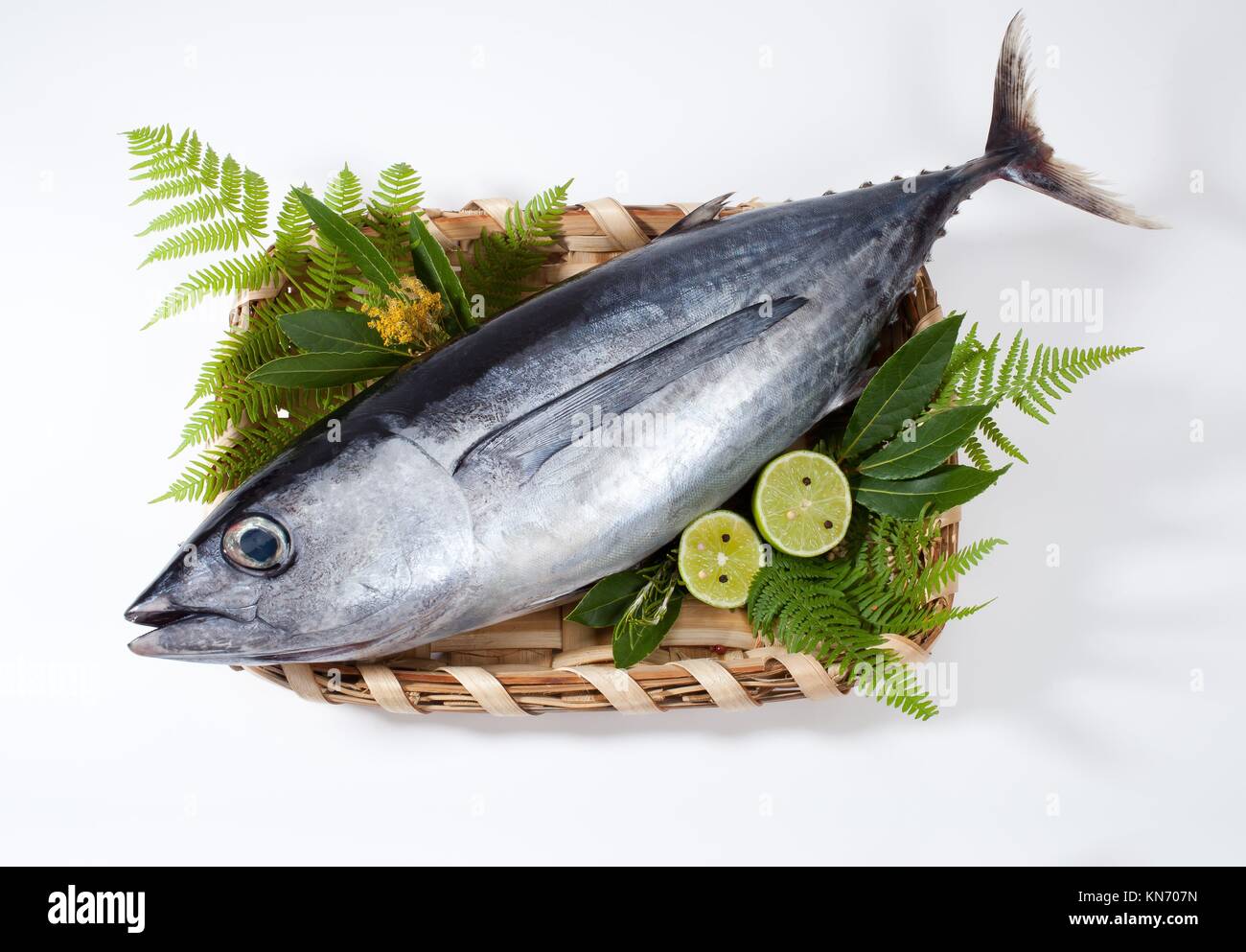 Albacore hi-res stock photography and images - Alamy