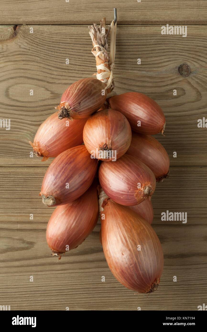French Shallot High Resolution Stock Photography and Images - Alamy